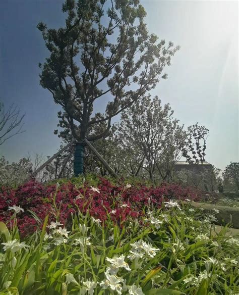 宁波大学梅山校区