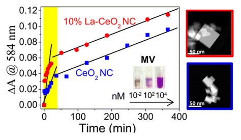 掺杂镧在二氧化铈纳米立方体中增强的羟自由基清除活性 The Journal Of Physical Chemistry C X Mol