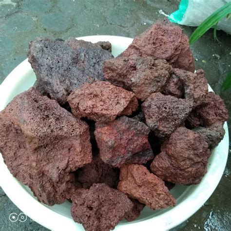 Jual Batu Lava Rock Aquascape 1kg Shopee Indonesia