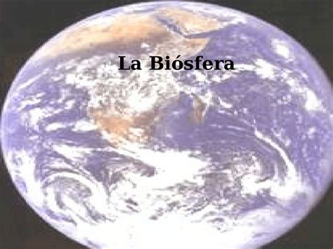 Biósfera Y Ecosistema Docsity