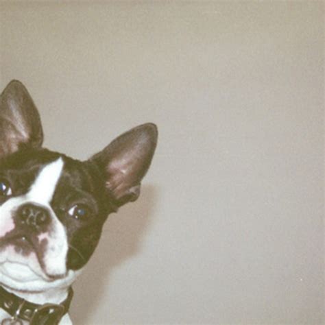 Who With The What Now Overflow X Tumblr Blog Tumlook