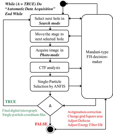 Schematic Representation Of The Sequence Followed To Automate Cryo EM Download Scientific