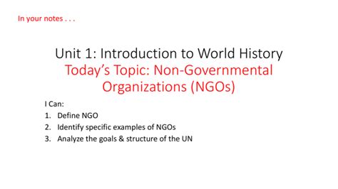 Ngos And The Un Goals Structure And Limitations