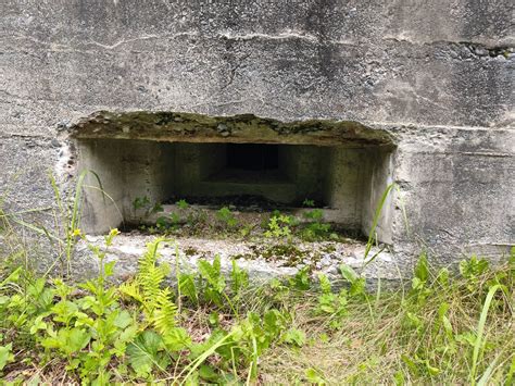 戦争遺跡十勝トーチカ群大樹町