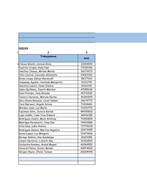 Formato Planilla De Cts Y Gratificación07112023 1 Pdf