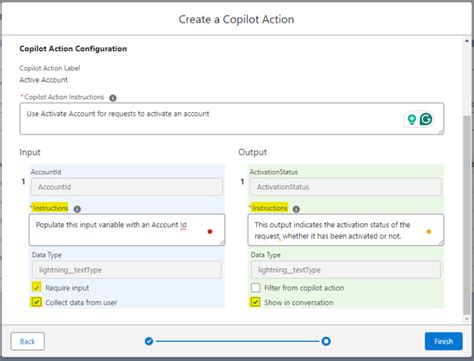 einstein copilot standard and custom actions apex hours