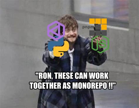 GitHub FlySkyPie Nodejs Python Monorepo