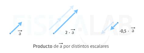 Producto de un Número por un Vector