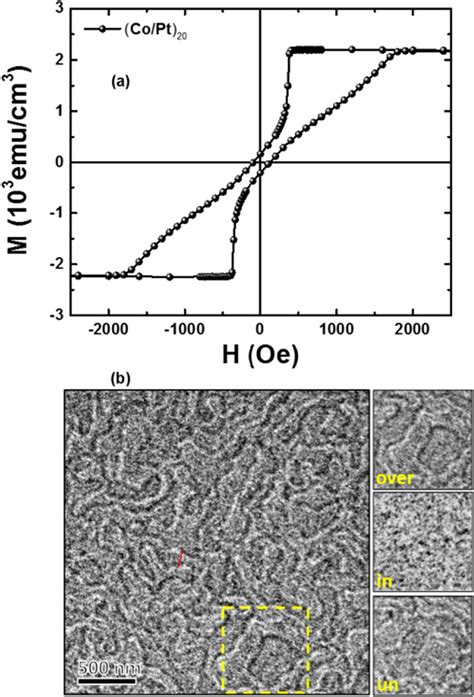 Static Magnetic Properties Of Ta 5 Nmpt 2 Nm Co 04 Nmpt 07