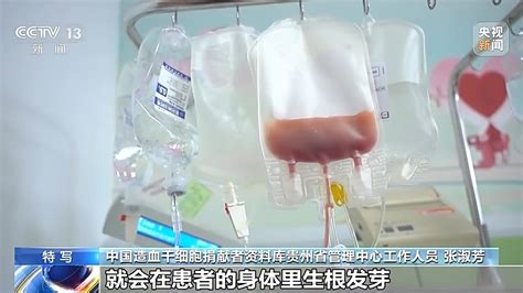 素不相识却“毫不犹豫” 21岁大学生为血液病患儿捐献造血干细胞四川在线