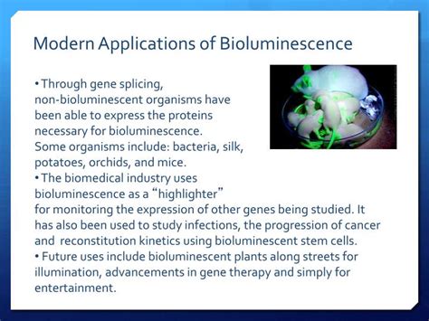 Ppt Bioluminescence Powerpoint Presentation Id 4230711