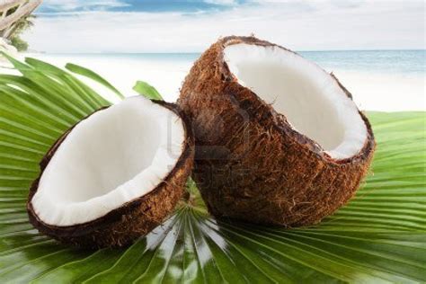 Terra Forming Terra Coconut Oil Can Stop Dementia And Alzheimer S Disease