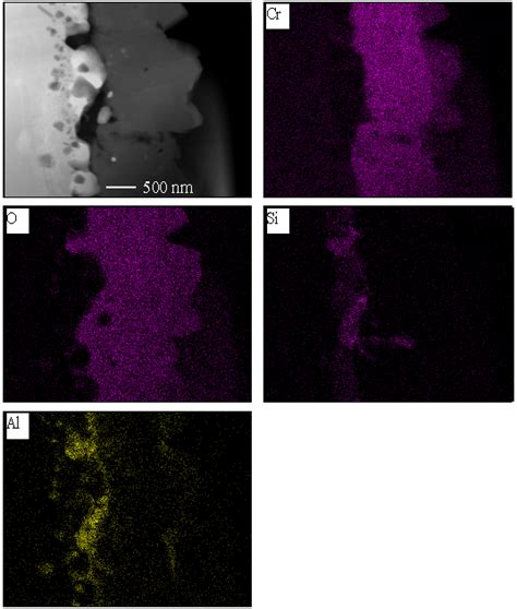 X Ray Elemental Mapping Depicting The Dispersion Of The Interacting