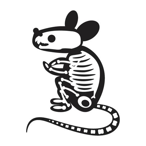 Rat Skeleton Vector Art Icons And Graphics For Free Download