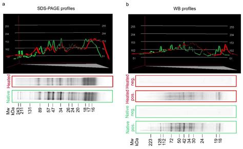 Development And Application Of Novel Chemiluminescence Immunoassays For Highly Sensitive