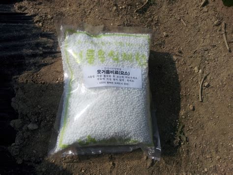 김장배추 요소비료 주기 네이버 블로그