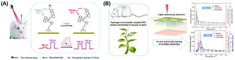 In Vivo Photoelectrochemical Analysis