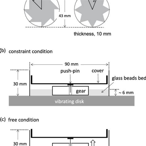 Schematic Representation Of Experimental Setup A Asymmetric And