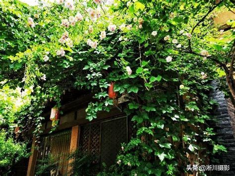 一起去看看賈平凹盛名下的棣花古鎮到底有多美 每日頭條