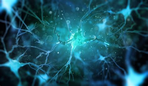 Signaling Defects Affecting Nerve Cell Growth Identified In Fragile X