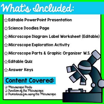 Microscope PowerPoint Lesson Notes And Worksheet Set TpT