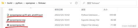 windows11下编译openpose并通过pyCharm调用_openpose pythonwin11-CSDN博客