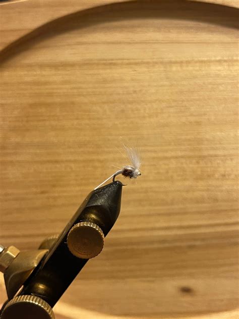 2 Pack White Mayfly Fly Etsy