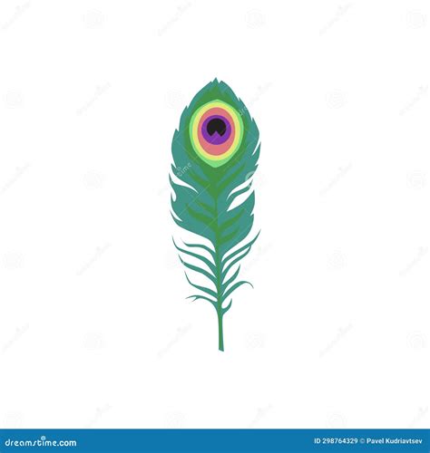 Peacock Feather Vector Colorful Illustration Bird Plume With Round