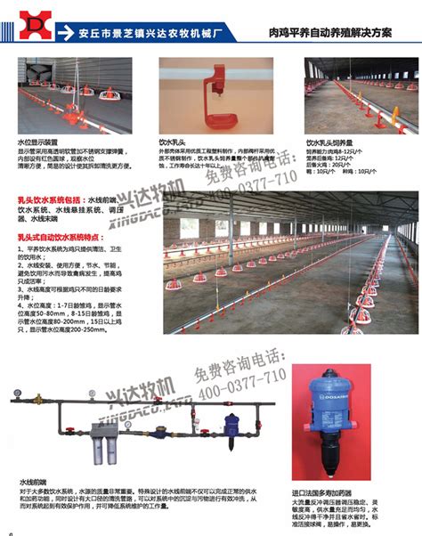 肉鸡自动饮水系统 鸡用全自动饮水线 肉鸡水线 养鸡设备生产厂家 阿里巴巴