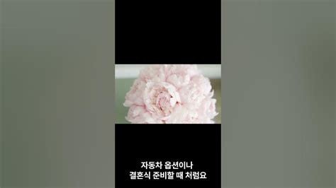 돈쓰고 후회해 본 적 있나요 돈 부자 경제적자유 재테크 파이어족 현금 Youtube