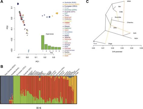Results Of The PCA ADMIXTURE And TreeMix Analyses Indicating Gene
