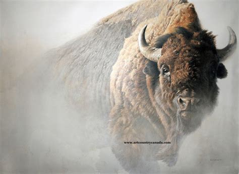 Art Country Canada Robert Bateman Chief American Bisonc Offset