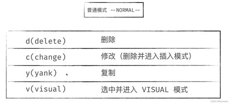 Vim Neovim 配置 Setupneovim配置 Csdn博客