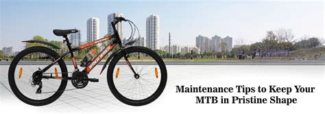Conquer Any Trail Top 5 Best Mtb Cycles Under 20000 For Thrill
