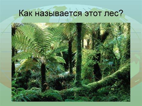 Эстафета урок игра для 7 х классов презентация онлайн