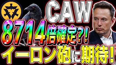 Cawコイン暗号の謎が解明！8714倍確定？！イーロン砲に期待！【仮想通貨】【イーロンマスク】【最新情報】【今後】【草コイン】【億り人】【柴犬