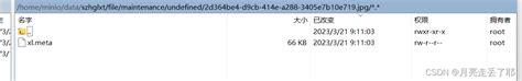 Minio上传文件在文件服务器上显示的是xlmeta的形式minio Xlmeta Csdn博客