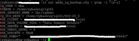 Konfigurer SAP IQ Database Backup Med NMDA 19 X Dell Danmark