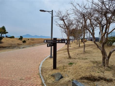부산 가볼만한곳 부산여행코스 다대포해수욕장의 모든것상세안내 네이버 블로그