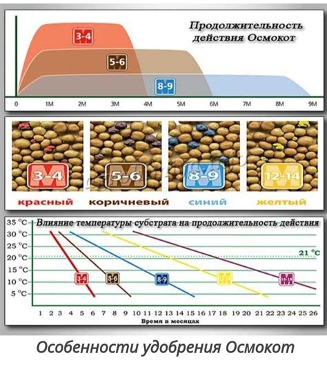 Осмокот для цитрусовых растений какой выбрать Светлана Шунина Дзен