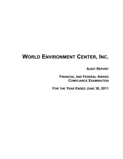 25 Disclaimer Audit Opinion Free To Edit Download And Print Cocodoc