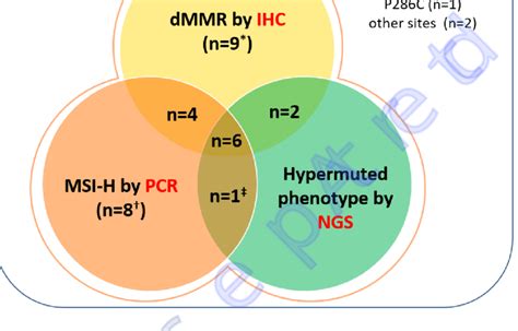Status Of MMR By IHC Or MSI By PCR And POLE Mutation DMMR Mismatch