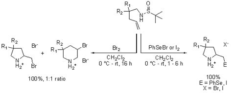 阿拉丁——叔丁基亚磺酰胺 知乎