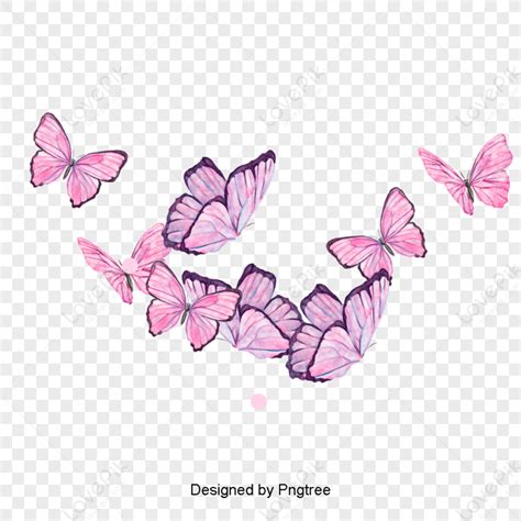 아름다운 나비 일러스트 디자인 만화 곤충자연구배 Png 일러스트 무료 다운로드 Lovepik