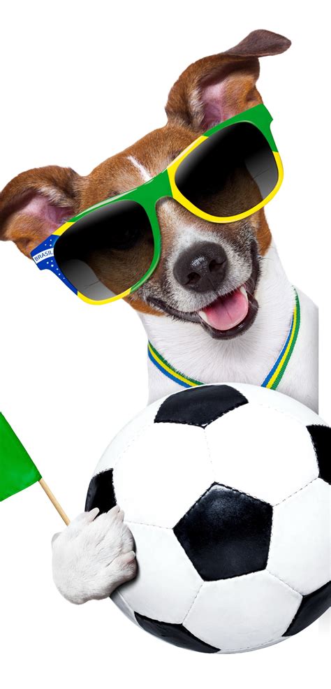 1080x2248 Fifa World Cup Brazil 2014 1080x2248 Resolution Wallpaper