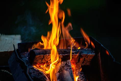 Membakar Kayu Dan Kertas Kayu Bakar Terbakar Lidah Api Api Unggun Api