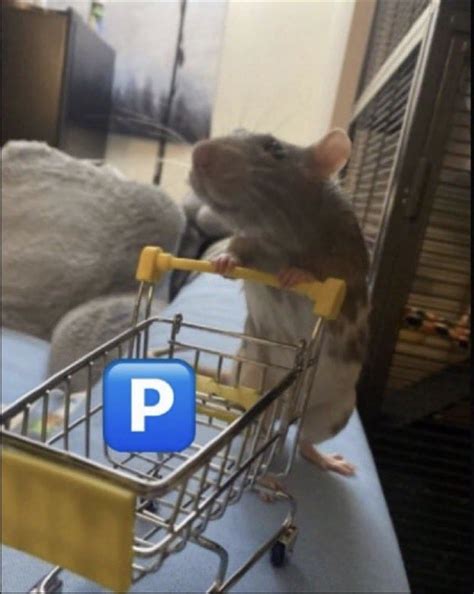 Pushin P Blank Template Imgflip