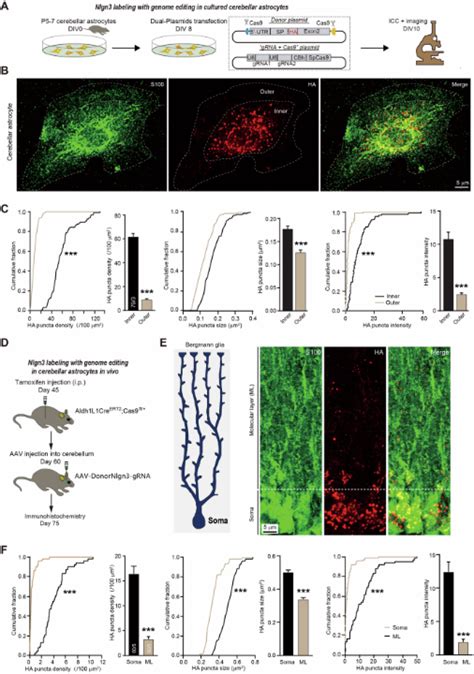 肿瘤化学基因组学国家重点实验室