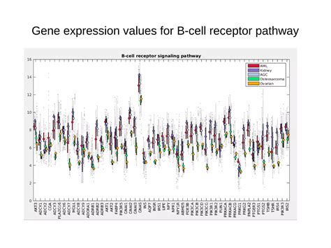 Pics Pathway Informed Classification System For Cancer Analysis Using