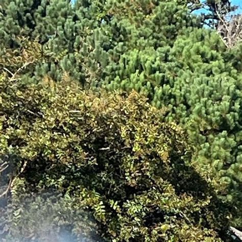 Real Actual Story That Actually Happened Jekyll Brewing Sets Up